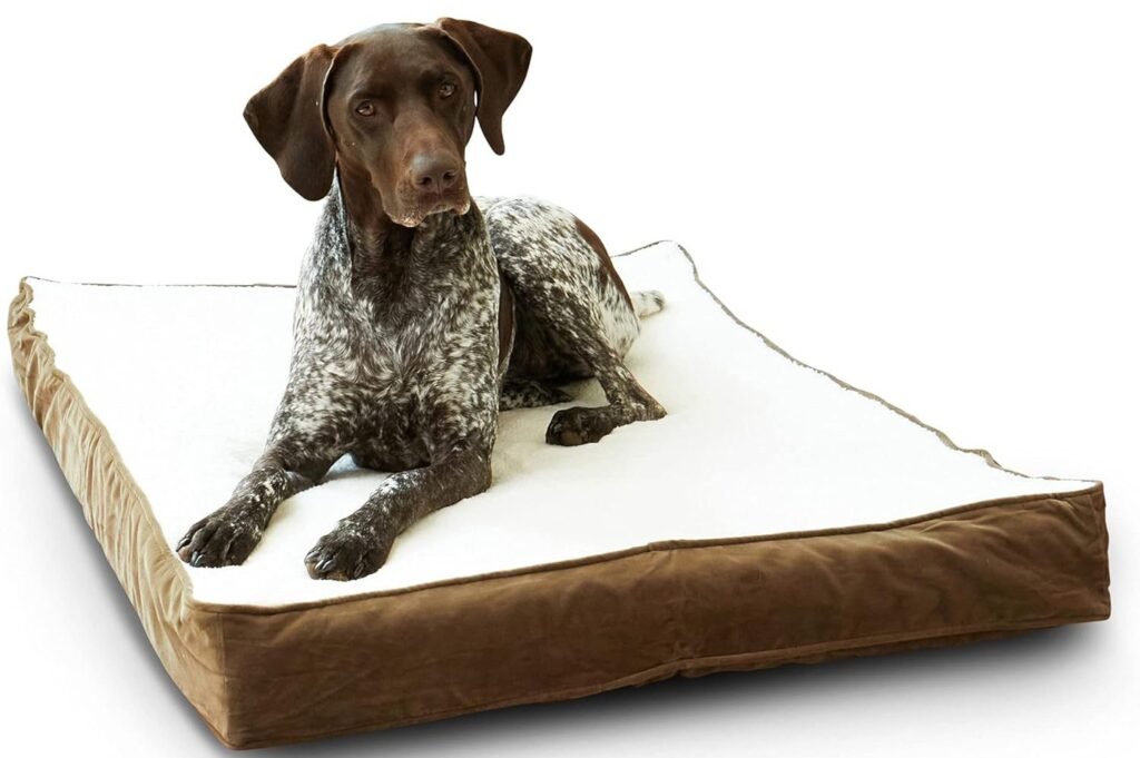 Best Dog Bed for German Wirehaired Pointers in 2024 - Nature's Perfect Pets